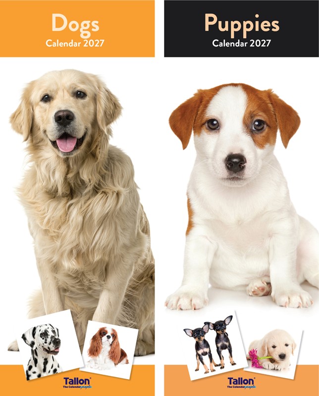 Calendar Super Slim Dogs And Puppies | Tallon